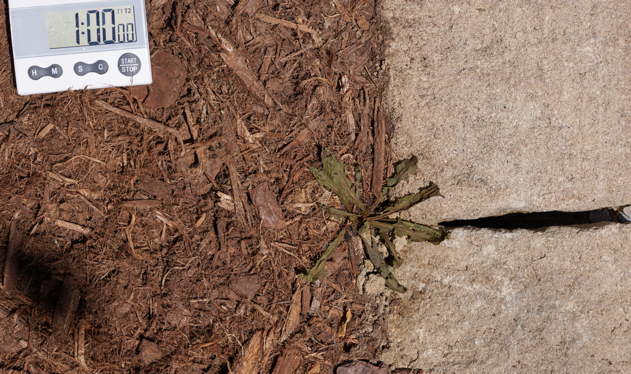 64oz Power Wand Weed & Grass Killer