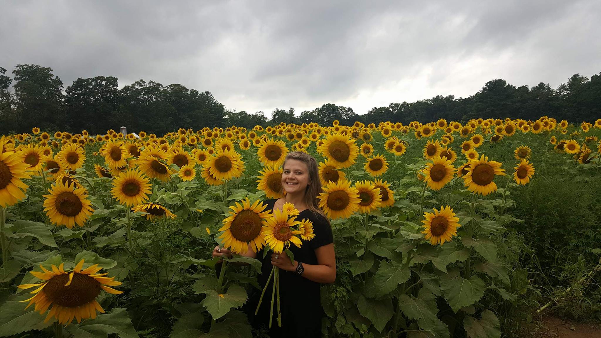 The HeeBee behind the Geebs - Heebee Geebs