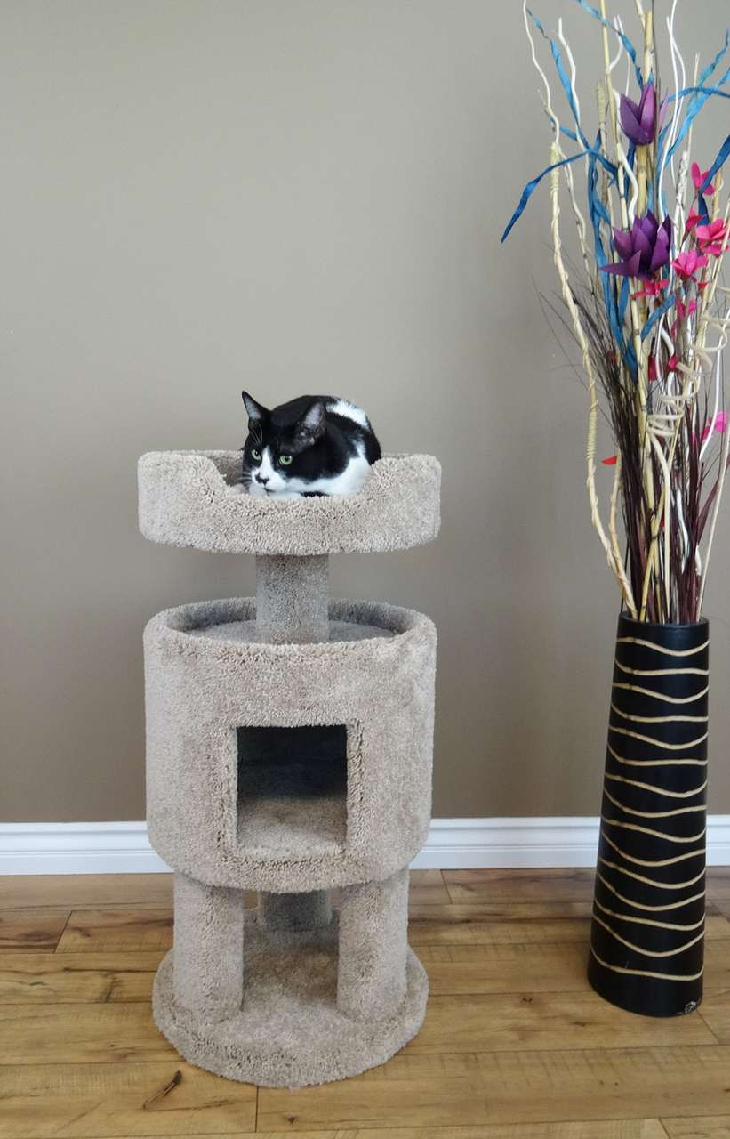New Cat Condos - Premier Contemporary Cat House