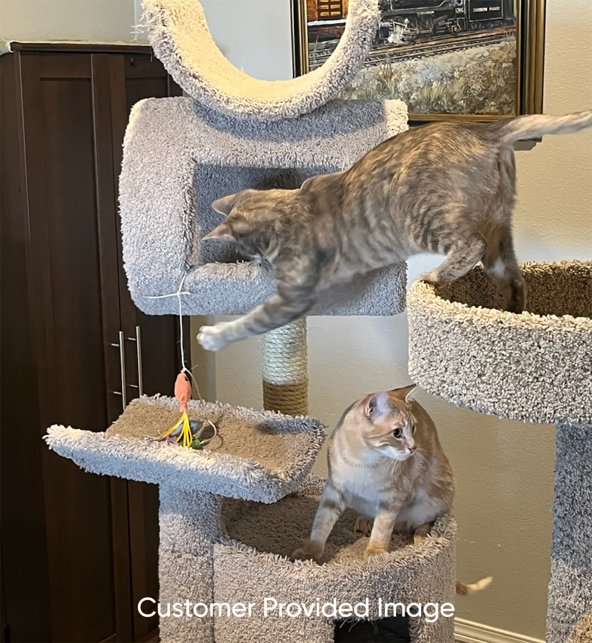 6-Foot Tall Cat Tower for Large Cats – Solid Wood, Carpet & Sisal | New ...