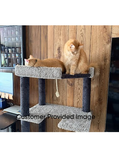 60" Cat Stand for Large Cats | Solid Wood Cat Tower Black & Gray