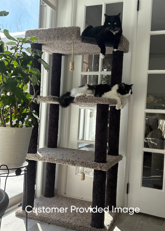 60" Cat Stand for Large Cats | Solid Wood Cat Tower Black & Gray