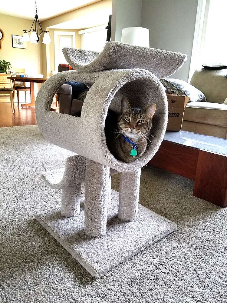 Customer Images | New Cat condos