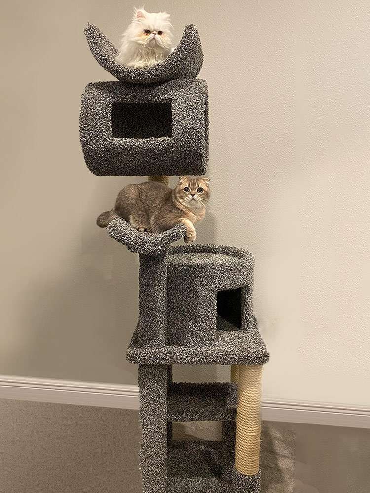 Customer Images | New Cat condos