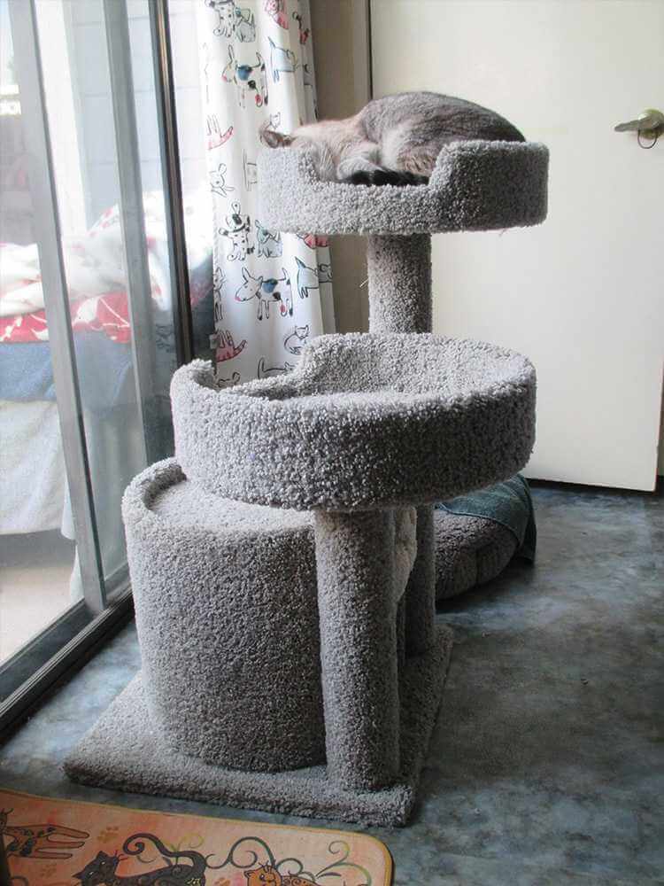 Customer Images | New Cat condos