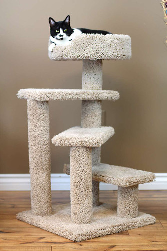 Spiral Cat Tree for Large Cats — Solid Wood, Multi-Level Activity Tower