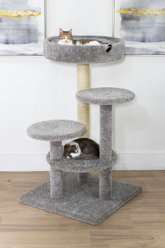 Cat Perch for Extra Large Cats | Oversized Platform + Solid Wood