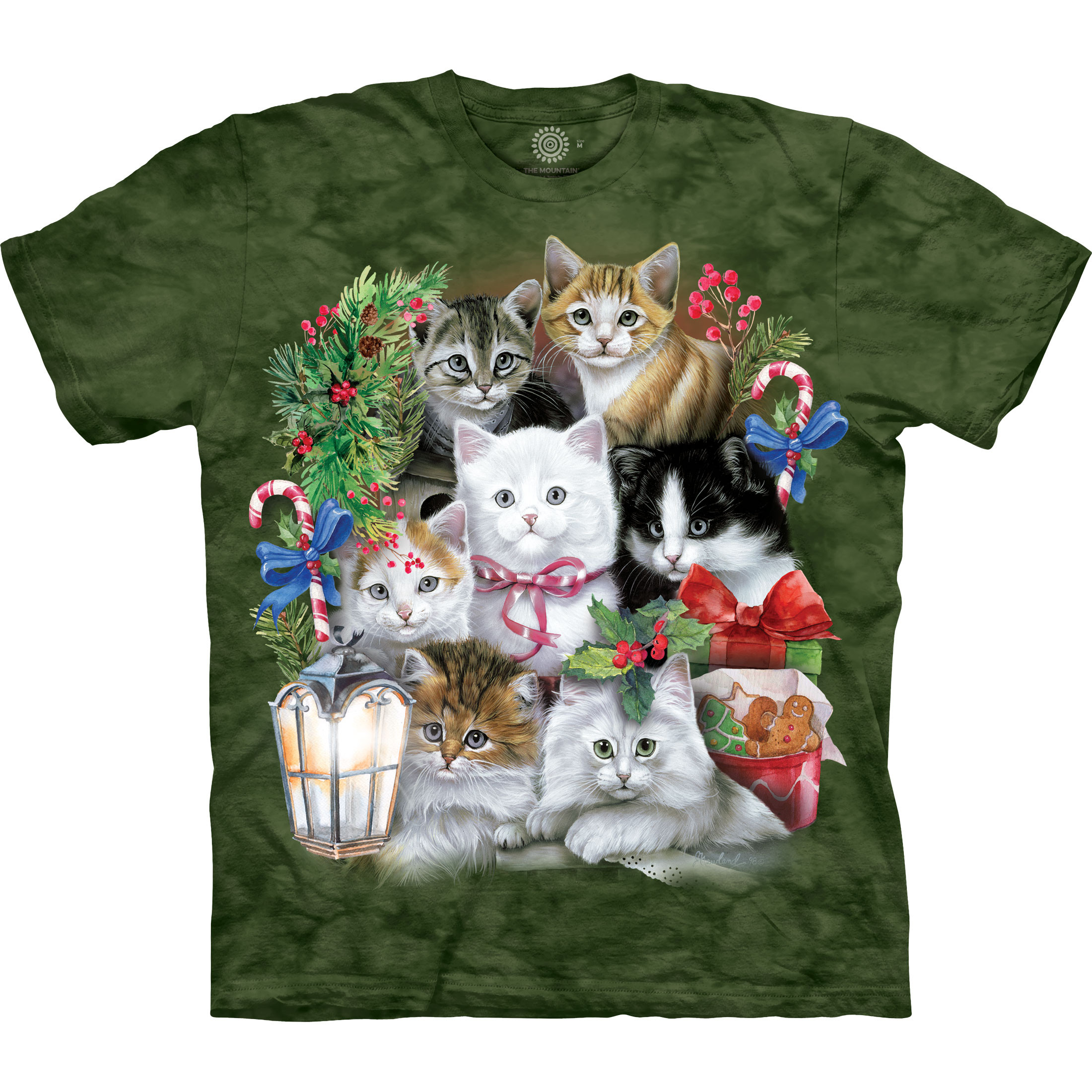 Graphic Tees, Hoodies, Apparel & Artwear • The Mountain