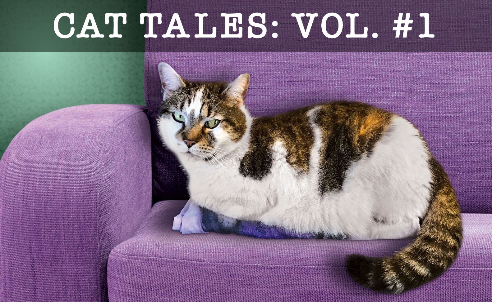 Cat Tales: Stories Of The Cat - The Mountain