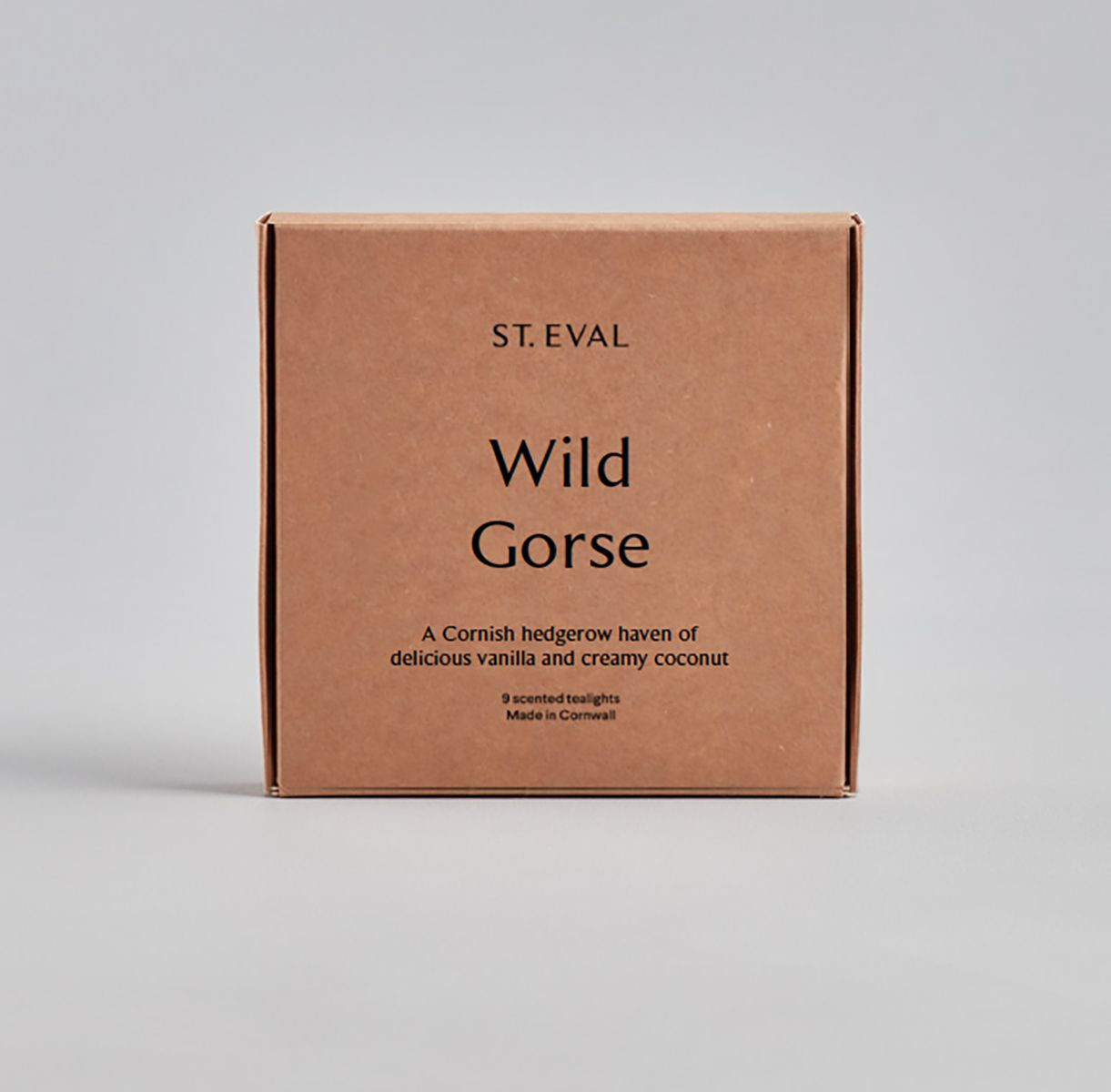 Wild Gorse Scented Tealights by St. Eval | The Home Library, Wilmslow & Weybridge