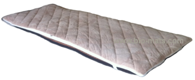 Quantum Energy Pad Professional size