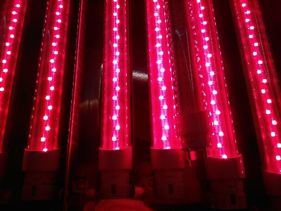 Illuminate Red Light Panel