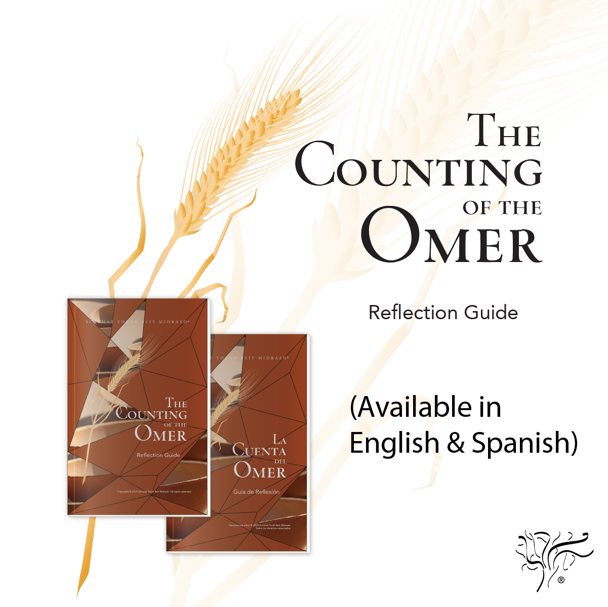 The Counting of the Omer - Reflection Guide - Simchat Torah Beit Midrash®