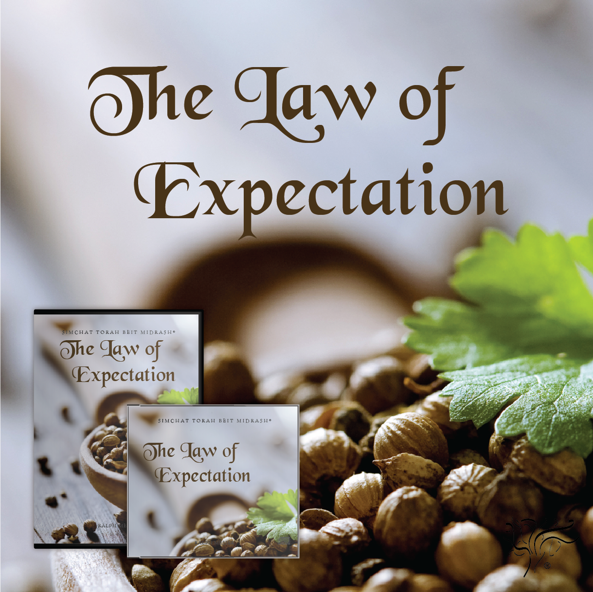 The Law of Expectation - Simchat Torah Beit Midrash®