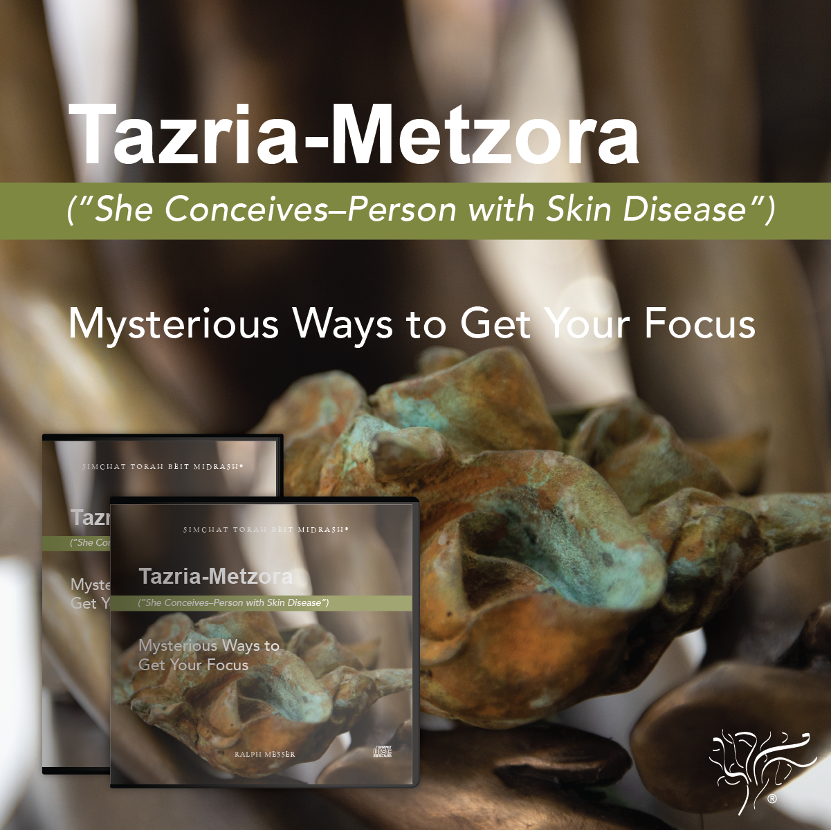 Tazria-Metzora: Mysterious Ways to Get Your Focus - Simchat Torah Beit ...