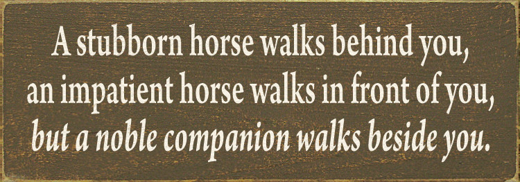 A stubborn horse walks behind you, an impatient horse walks in front of ...