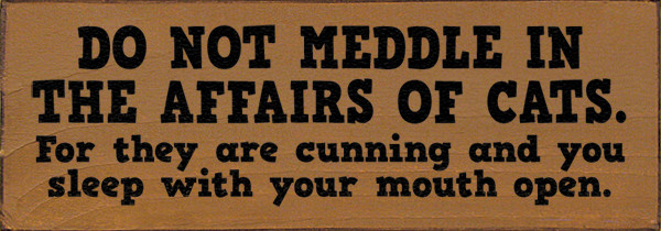 Do not meddle in the affairs of cats. For they are cunning and you ...