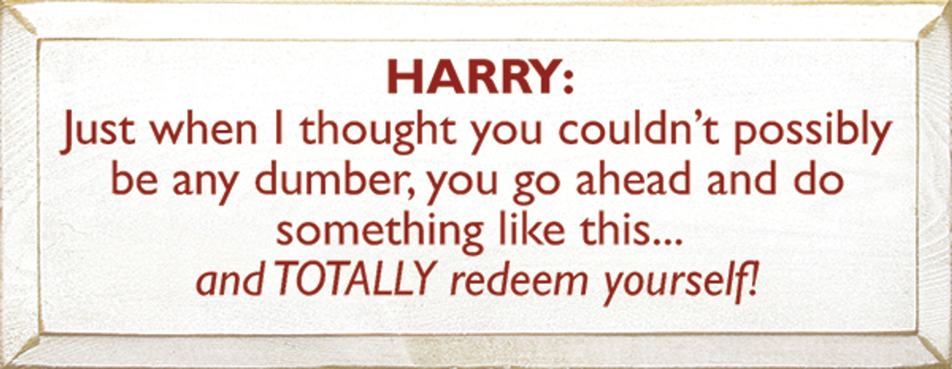 Harry Just When I Thought You Couldnt Possibly Be Any Dumber Funny
