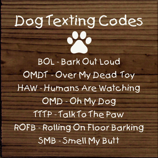 Dog Texting Codes: BOL - Bark Out Loud. OMDT - Over My Dead Toy...|Dog ...