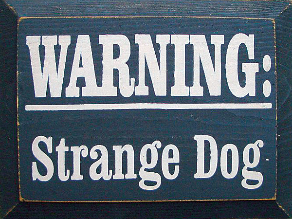 Warning Strange Dog | Funny Dog Wood Sign| Sawdust City Wood Signs