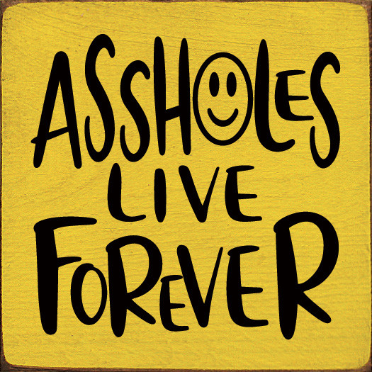 Assholes Live Forever Funny Wooden Signs Sawdust City Wood Signs
