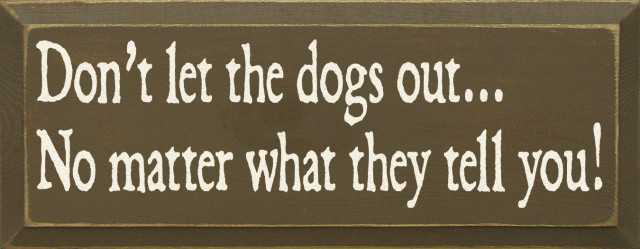 Agenda for the Day: Let the dog in. Let the dog out. Let the dog in ...