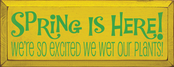 Spring is here! We're so excited we wet our plants!|Spring Wood Sign ...