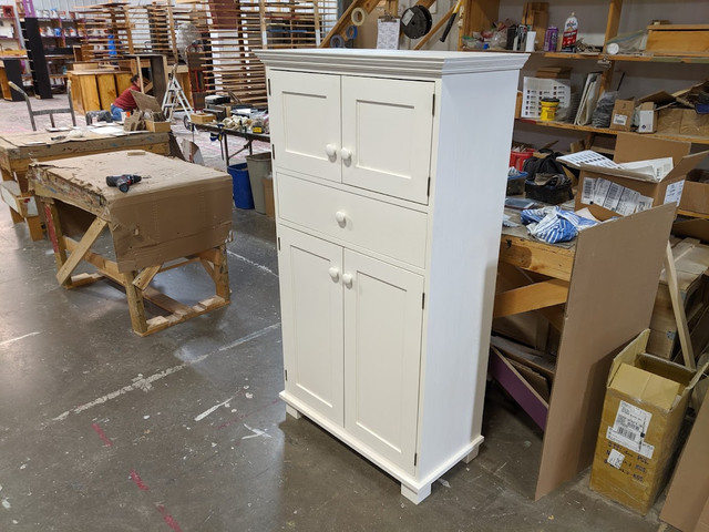 CUSTOM -Fancy Storage Cabinet w/ Drawer | Sawdust City Custom Furniture