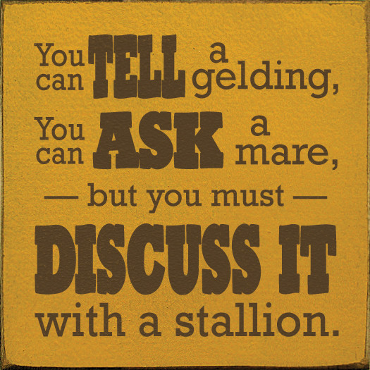 You can tell a gelding, you can ask a mare, but you must discuss it ...
