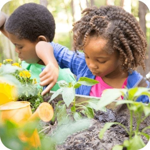 Early Years Garden Theme | EYFS Garden Topic | Early Years Resources