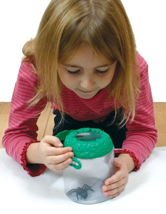 EYFS Life Cycle Resources | Nurseries & Schools | Early Years Resources