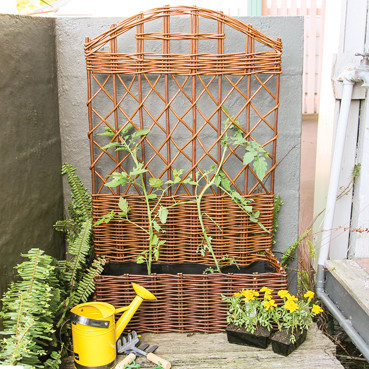 Watch Me Grow Planter | Early Years Resources