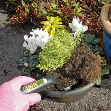Plastic Garden Trowels for Kids Gardening Activities