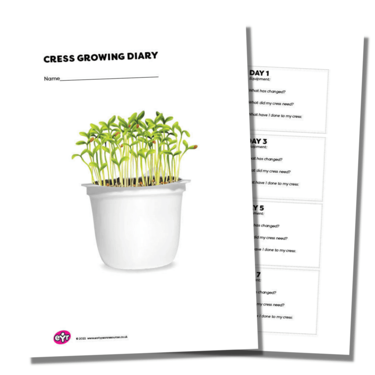 Cress growing diary | EYR