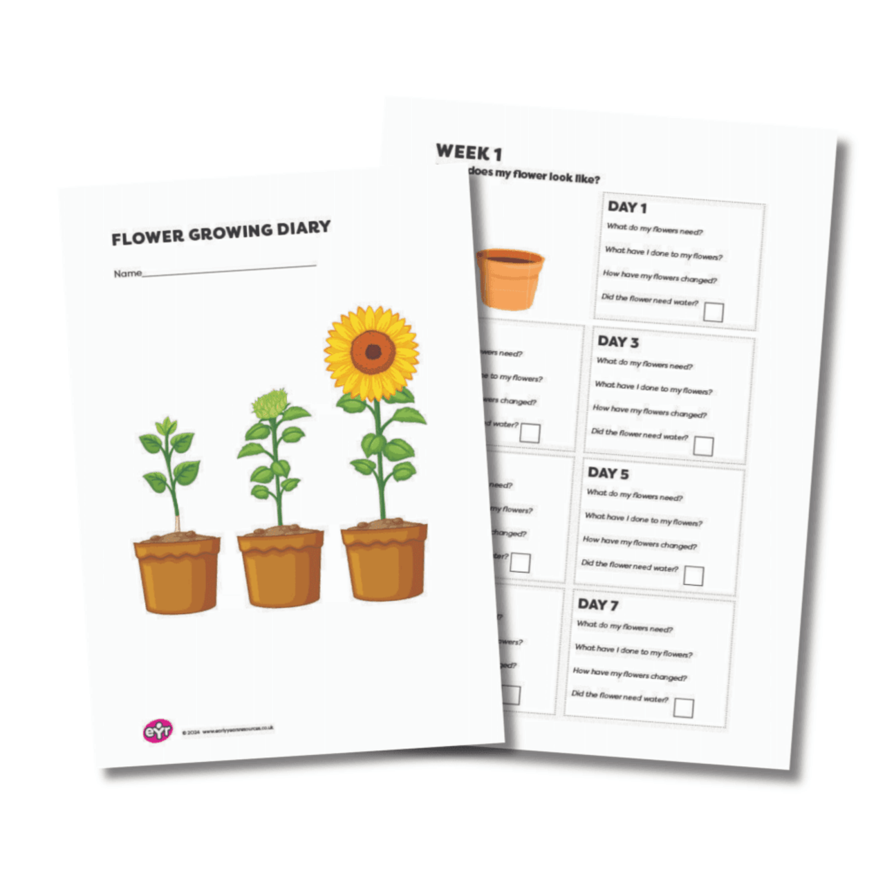 Flower Growing Diary | EYR