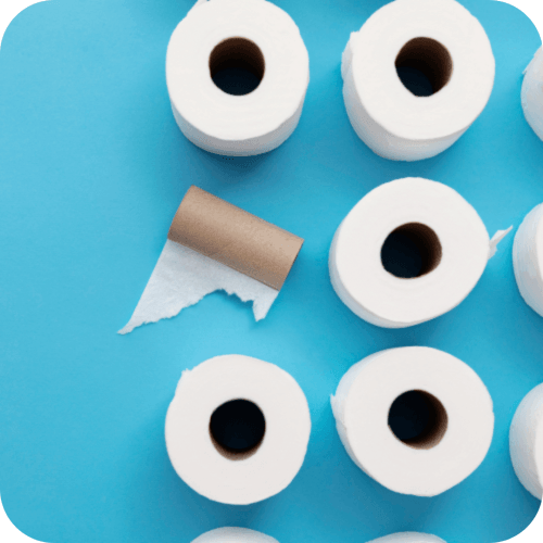 Paper Rolls For Schools, Councils, Hospitals | EYR