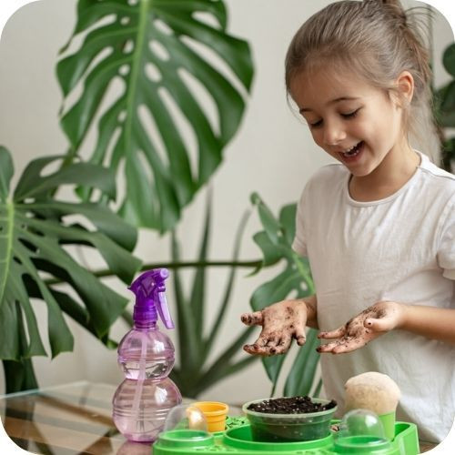 KS1 Plants & Growth resources | Early Years Resources