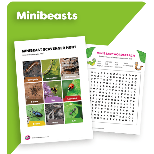 Teaching Downloadables | Minibeasts | Early Years Resources