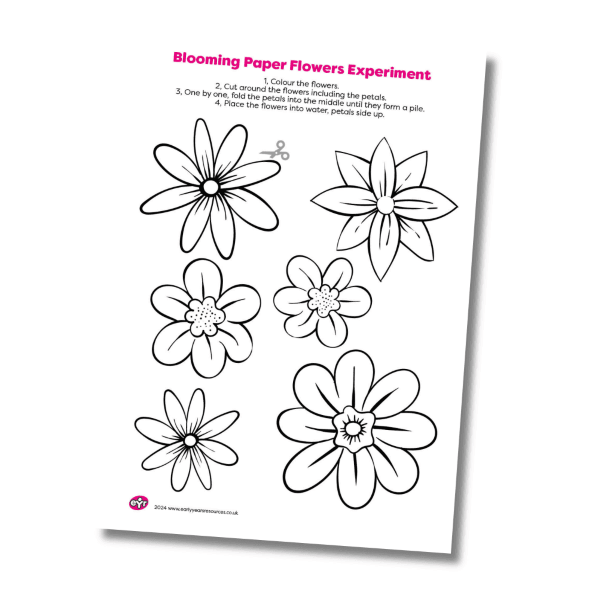 Blooming Paper Flowers Experiment | EYR