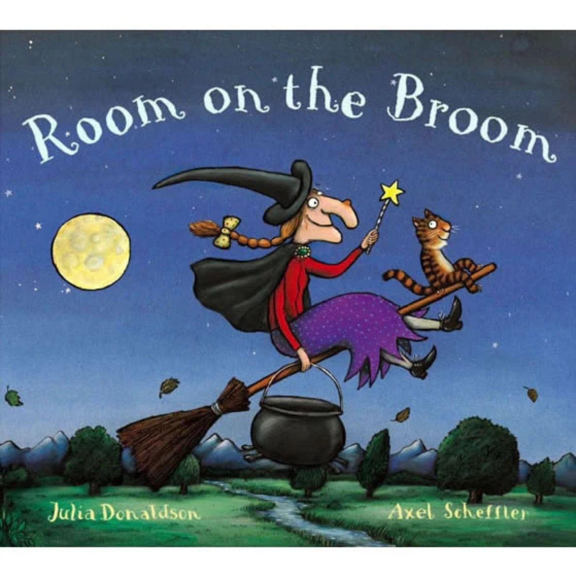 Room On The Broom Story Set | EYR