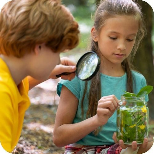KS1 Science Equipment | Early Years Resources