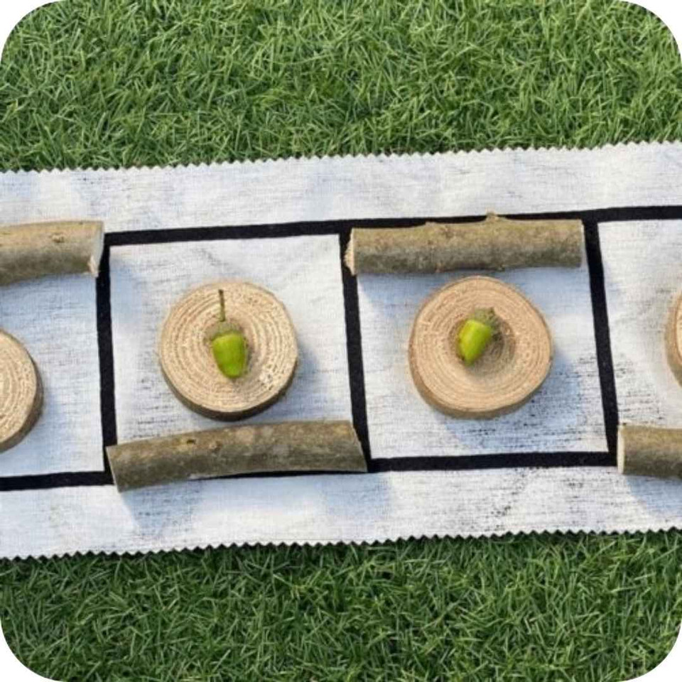 Early Maths: Numerical Patterns | EYFS Pattern, Sorting & Shape Resources