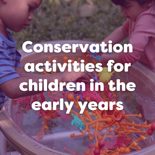 Conservation Classroom Activities For Early Years - Early Years Resources
