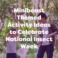 Minibeast Themed Activity Ideas to Celebrate National Insect Week ...