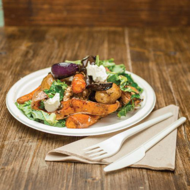 Vegware Compostable Bagasse Plate - Pack of 125 |EYR