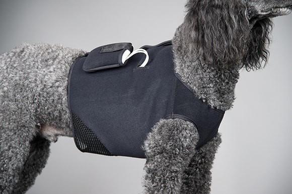 Protective Dog Vest for Remote/Portable Monitoring Devices