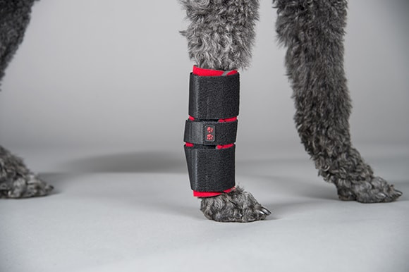 Dog Carpal Hyperextension & Osteoarthritis | Dog Wrist Support