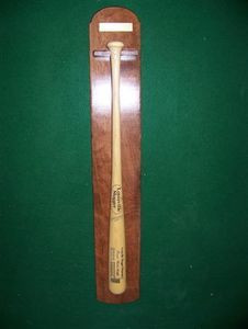 Single Bat Vertical Display