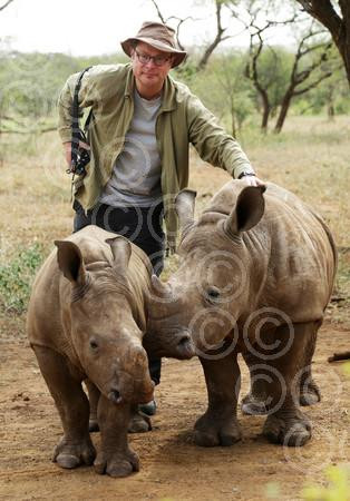 34225059-HUGH FERNLEY-WHITTINGSTALL WITH BABY RHINOS IN SWAZILAND ...