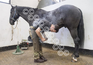 36342372-Picture - Mark Large . . . 09. 04. 18nn A behind-the-scenes ...